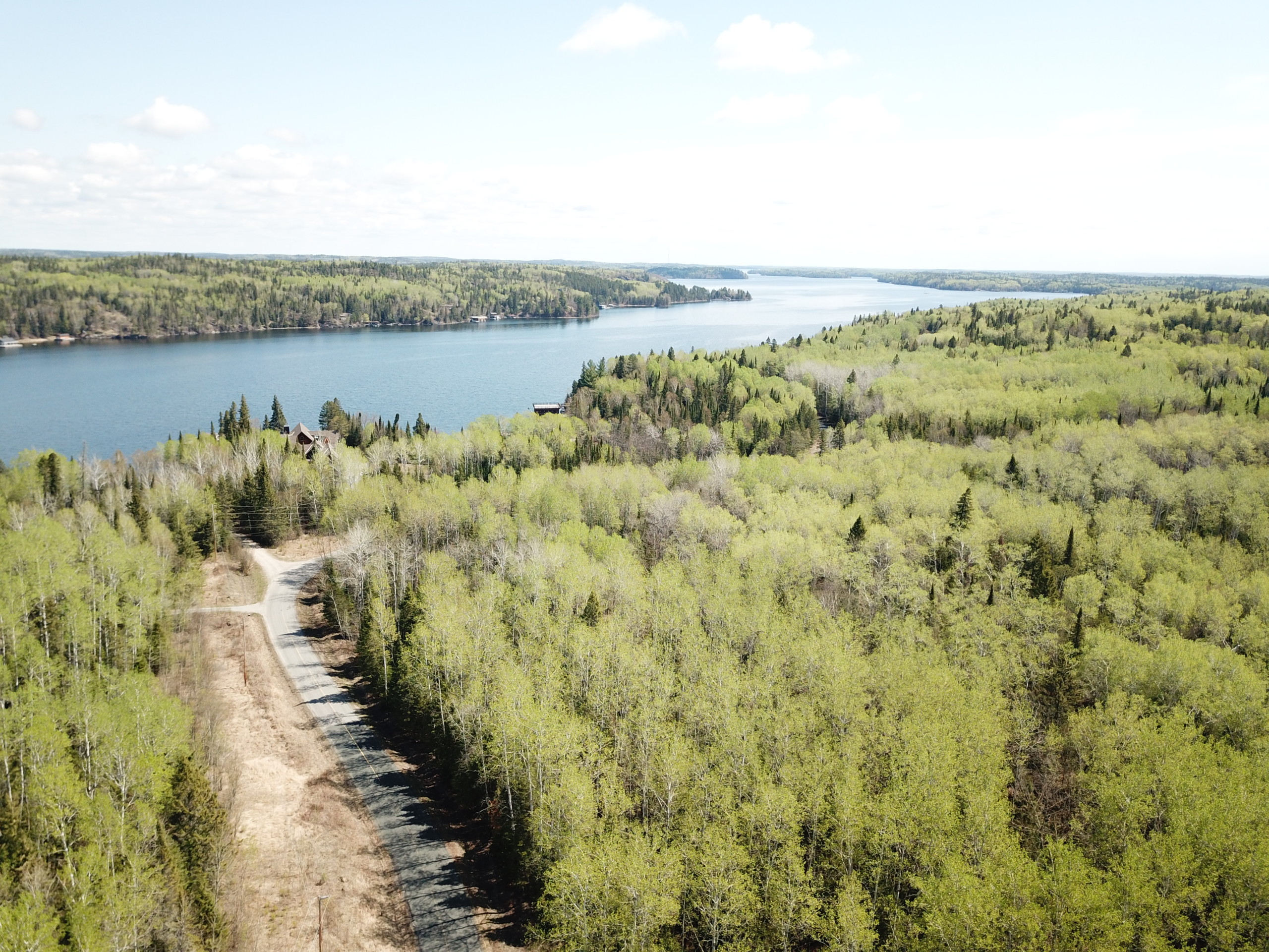 Changes to the Forest blocks in the area - Home